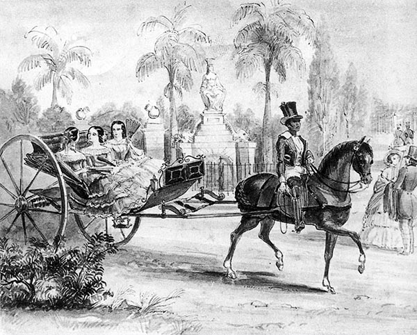 Revista El Pollo Urbano