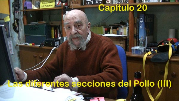 Revista El Pollo Urbano